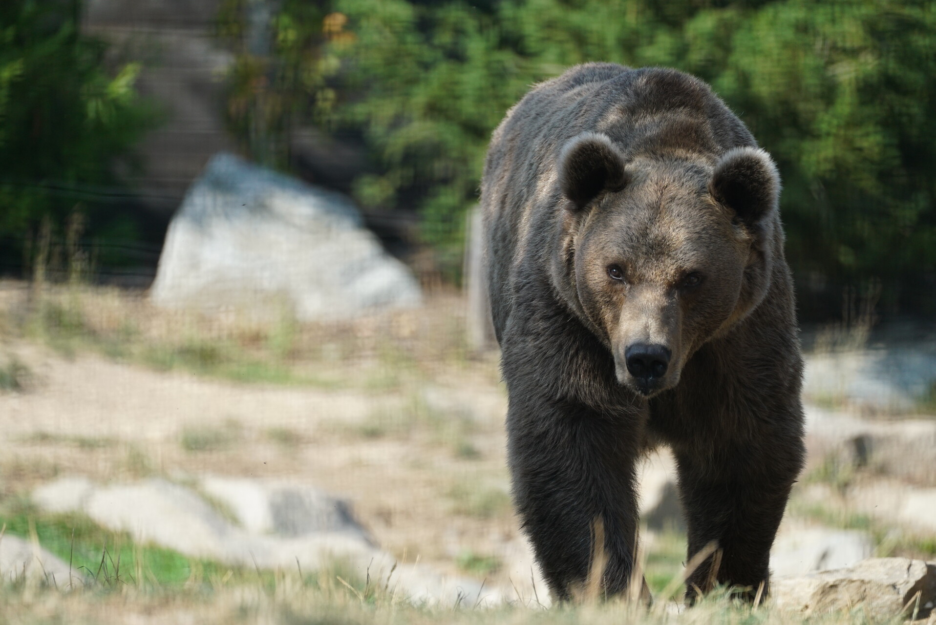 ZOO D'AMNÉVILLE - Agence Inspire Metz - Office de Tourisme