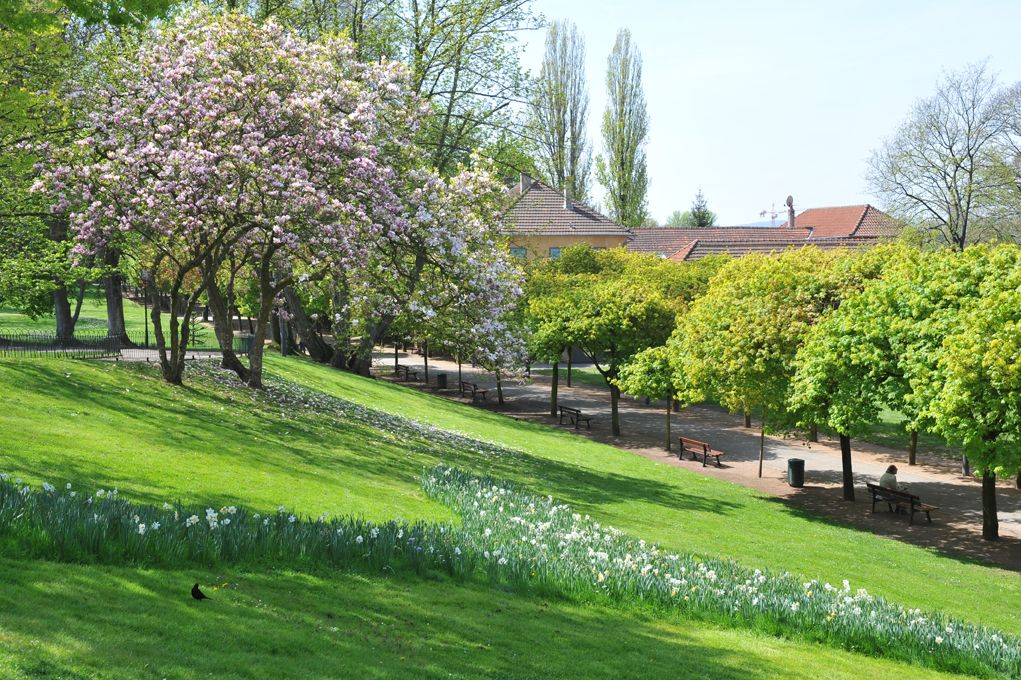 PLAN D'EAU DE METZ ET BORDS DE MOSELLE - Agence Inspire Metz - Office ...
